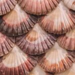 Unique Experience: Complete Tour of Rías Baixas and Isla da Toxa - In Closing