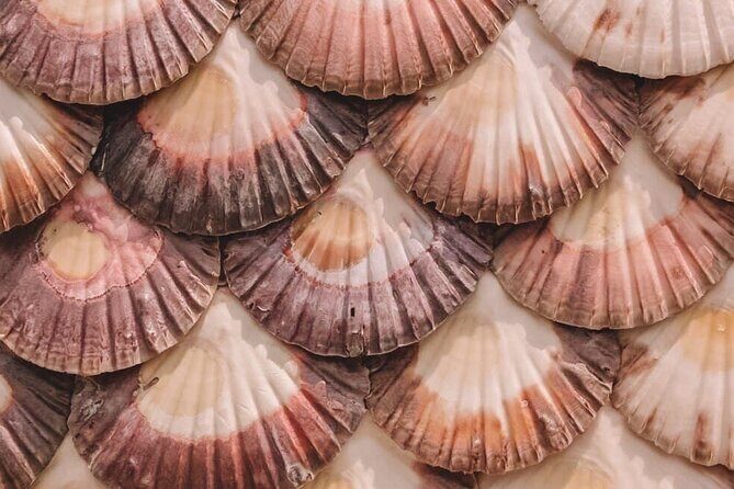Unique Experience: Complete Tour of Rías Baixas and Isla da Toxa - In Closing