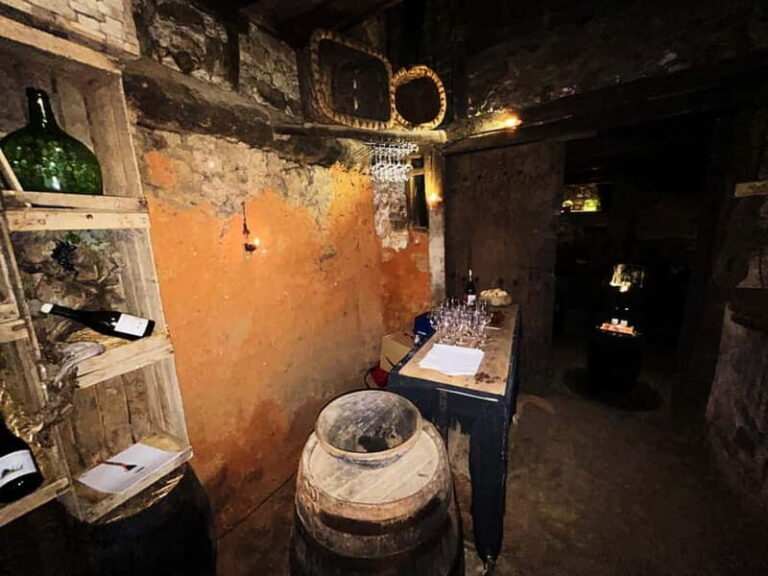 Unique experience in XVI winery with tasting near Salamanca - The Experience in Detail