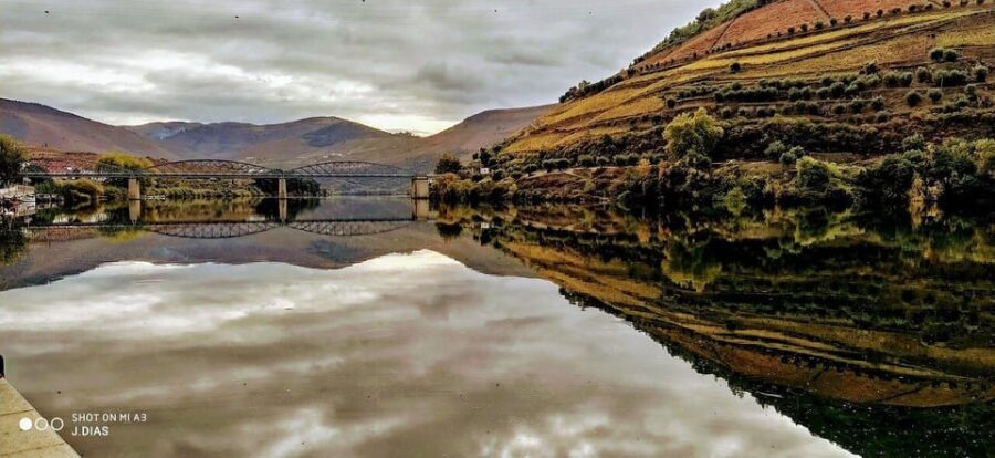 Upper Douro: From Casal de Loivos to Pinhão Walk & Wine Tour - Who Will Love This Tour?