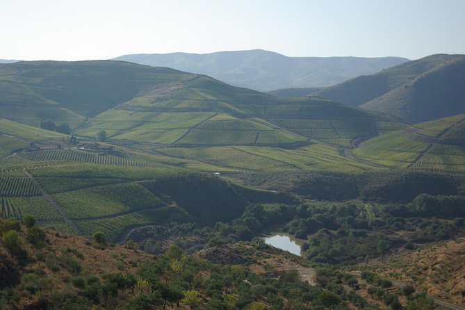 Upper Douro Walk & WineTour - Key Points