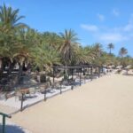 Vai Palm Beach Full Day Private Tour - Transportation and Comfort
