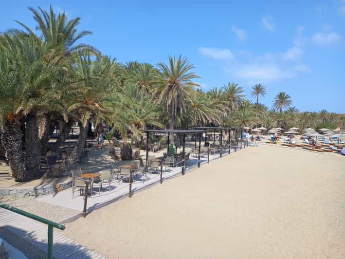 Vai Palm Beach Full Day Private Tour - Transportation and Comfort