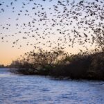 Valada: 1 hour boat trip, guided tour - Who Will Love This Tour?