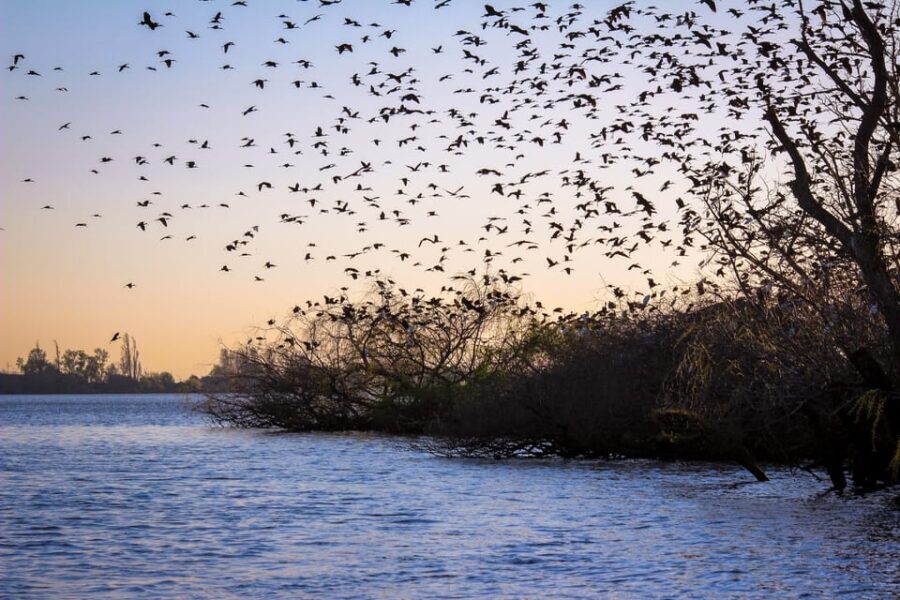 Valada: 1 hour boat trip, guided tour - Who Will Love This Tour?