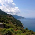 Valdemossa Half Day Tour - What to Expect from the Transport and Guides