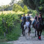 Valdichiana: Horseback Riding Tour with Tuscan Picnic - What to Expect from the Experience