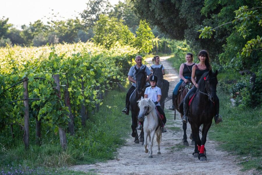 Valdichiana: Horseback Riding Tour with Tuscan Picnic - What to Expect from the Experience