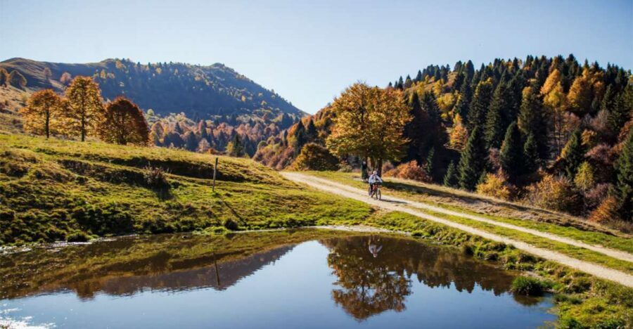 Valdobbiadene: Guided E-Bike Tour in Prosecco Hills - Who Is This Tour Best For?