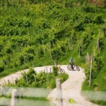 Valdobbiadene: self-guided e-bike tour in the Prosecco Hills - An In-Depth Look at the Experience
