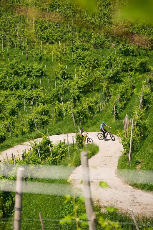 Valdobbiadene: self-guided e-bike tour in the Prosecco Hills - An In-Depth Look at the Experience