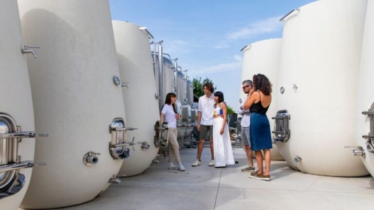 Valdobbiadene:Prosecco tasting,appetizers,winery & vineyard - What Makes This Tour Stand Out