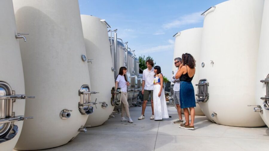 Valdobbiadene:Prosecco tasting,appetizers,winery & vineyard - What Makes This Tour Stand Out
