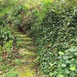 Vale Paraiso - Paradise Valley Walk - FAQs