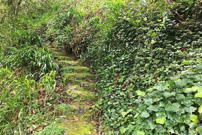 Vale Paraiso - Paradise Valley Walk - FAQs