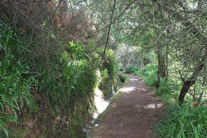 Vale Paraíso - Rochão (Half Day Walk) - Who Should Consider This Tour?