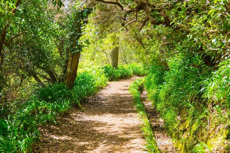 Vale Paraíso Rochão Madeira Island Walk - The Itinerary — What to Expect
