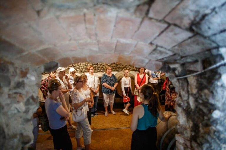 Valeggio: Summer Sips - 3 young wines with guided winery tour. - Who Will Love This Tour?