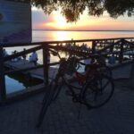 Valencia: Albufera Natural Park Bike and Boat Tour - The Real Value of the Tour