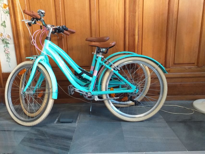 Valencia: Bike Rental for 1 to 4 Days - The Practicalities: Logistics & Tips
