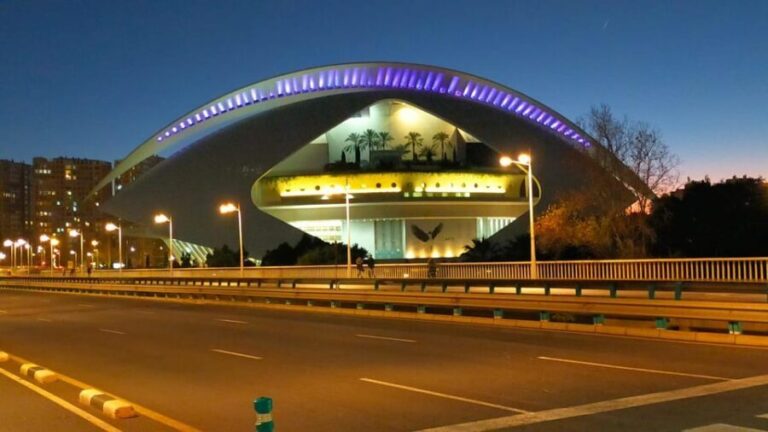Valencia, Biketour of all the city with a local guide - The Itinerary: From Historic Nooks to Futuristic Marvels