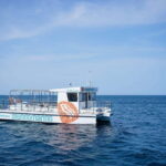 Valencia: Boat Tour with Swim Stop - Exploring the Valencia Boat Tour in Detail