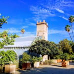 Valencia Botanical Garden Guided Tour - Deep Dive into Each Stop