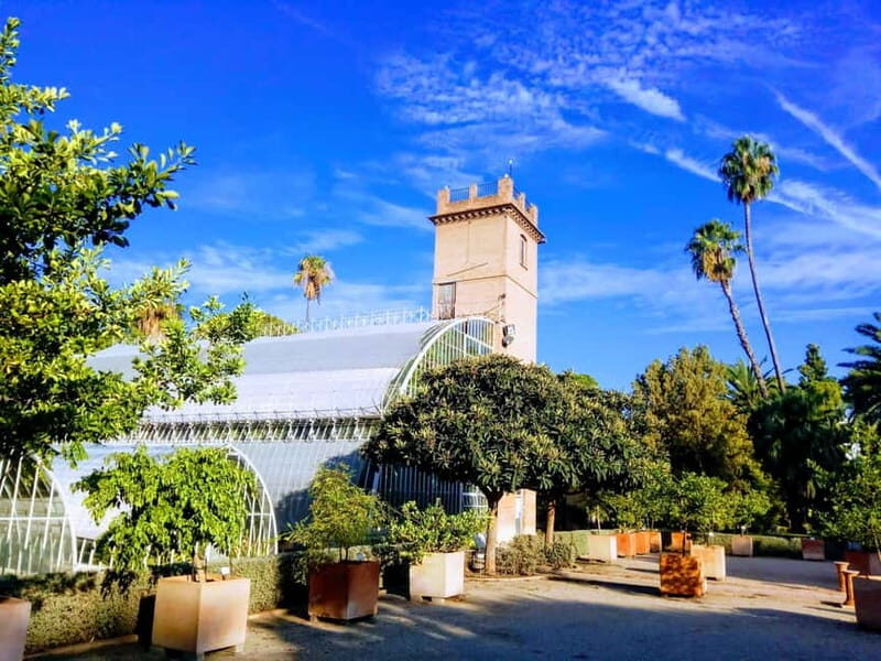 Valencia Botanical Garden Guided Tour - Deep Dive into Each Stop