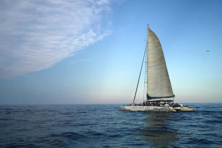 Valencia: Catamaran Adventure with Swimming Stop - Who Will Love This Tour?