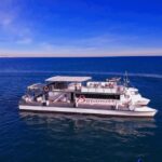 Valencia: Catamaran Cruise with Stop for Swimming - Itinerary Breakdown