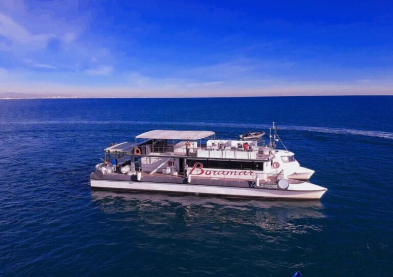 Valencia: Catamaran Cruise with Stop for Swimming - Itinerary Breakdown