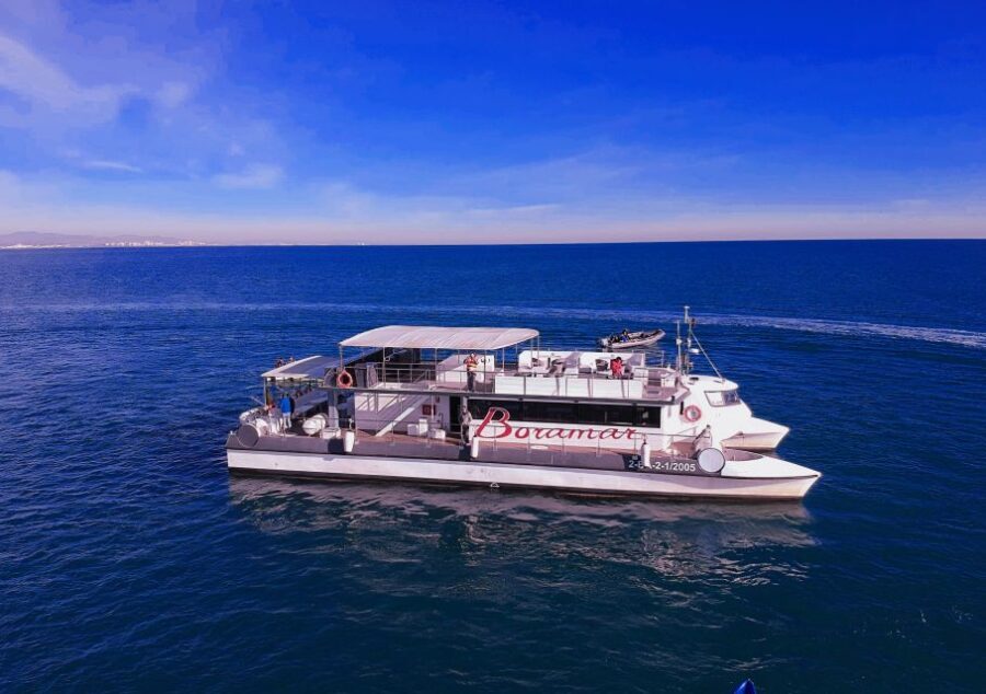 Valencia: Catamaran Cruise with Stop for Swimming - Itinerary Breakdown