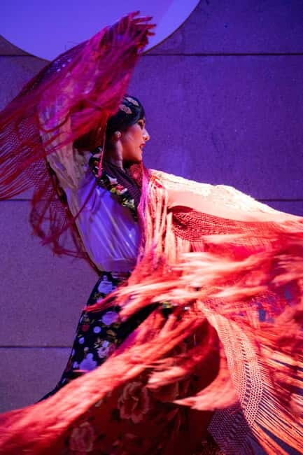 Valencia: La Reina Flamenco Show - Who Will Love This Experience?