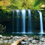 Valencia Natural Wonders: Exploring the Top 4 Waterfalls - An In-Depth Look at the Waterfalls and What You Can Expect