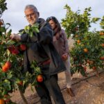 Valencia: Orange Farm and Orchard Trip with Tastings - Authenticity and Value