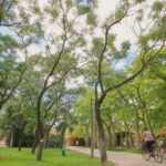 Valencia Parks: Private Tour on Bicycle, E-Bike or E-Step - What’s Included and What’s Not