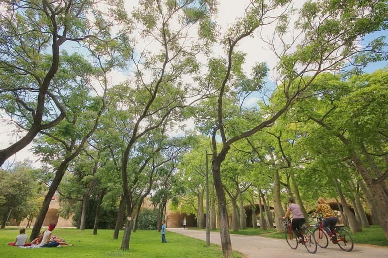 Valencia Parks: Private Tour on Bicycle, E-Bike or E-Step - What’s Included and What’s Not