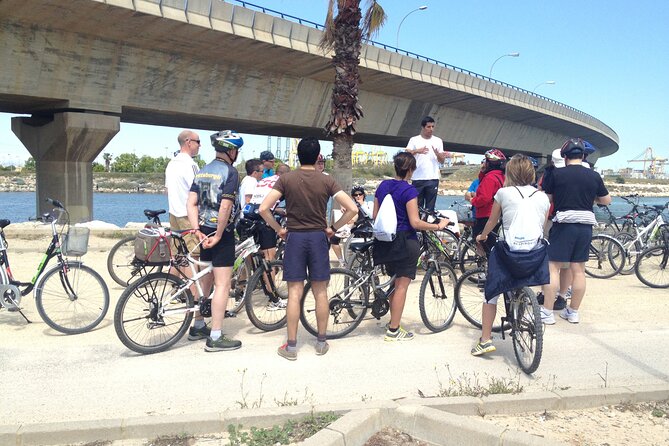 Valencia: Road to La Albufera Private Bike Tour - Introduction