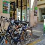 Valencia Segway Tour with Bike Rental - A Practical Overview of the Valencia Segway & Bike Experience