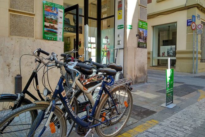Valencia Segway Tour with Bike Rental - A Practical Overview of the Valencia Segway & Bike Experience