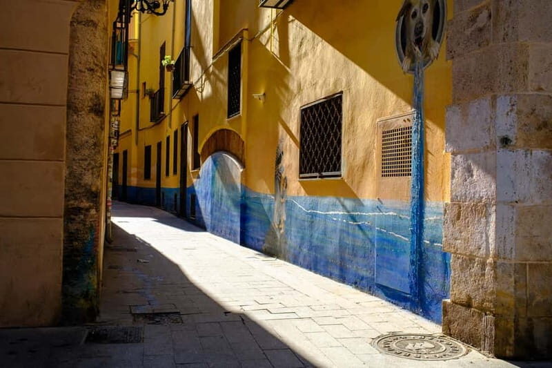 Valencia, Spain: Excellent Private Walking Photography Tour - The Value of the Experience