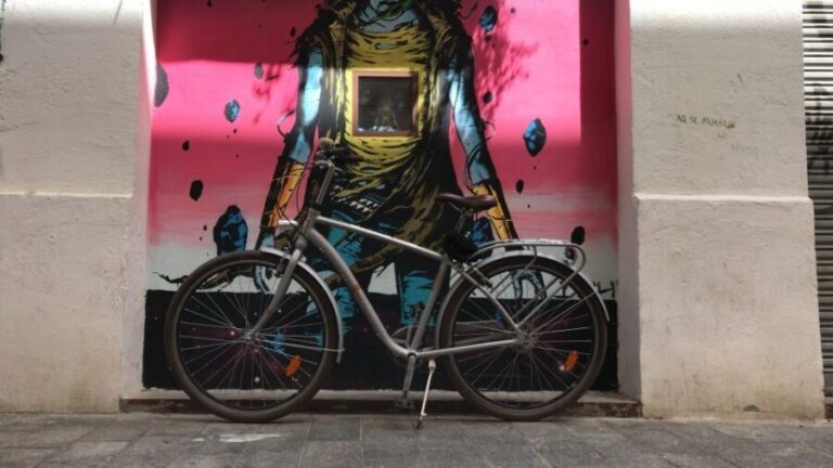 Valencia: Street Art Tour on Bicycle, E-Bike or E-Step - The Itinerary and Highlights in Detail