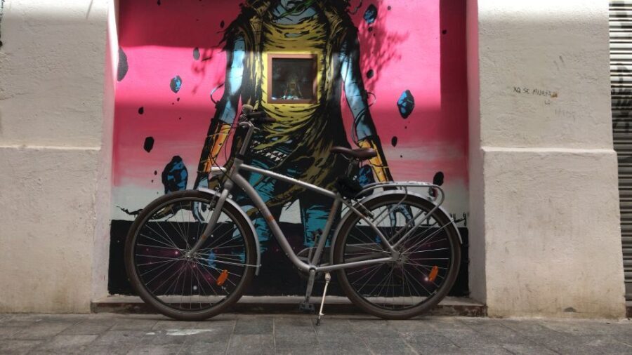 Valencia: Street Art Tour on Bicycle, E-Bike or E-Step - The Itinerary and Highlights in Detail