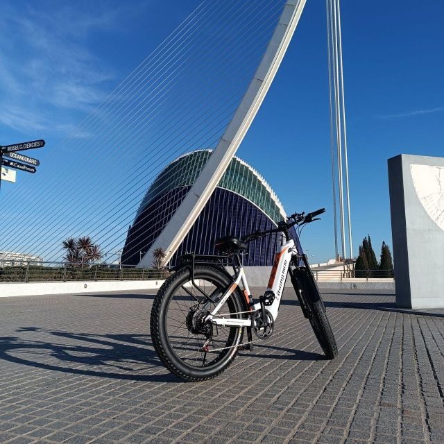 Valencia: The Albufera Lake Self-Guided E-Bike Tour - The Practicalities