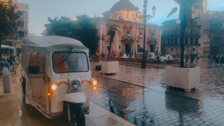 Valencia: Tuk Tuk Historical Tour - What Makes This Tour Stand Out