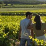 Valencia: Vineyard Tour with Local Wine Tasting & Appetizer - An In-Depth Look at the Vineyard Experience