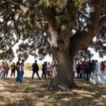 Valencia: Winery Visit with Vineyard Tour & Wine Tasting - Who Is This Tour Best For?
