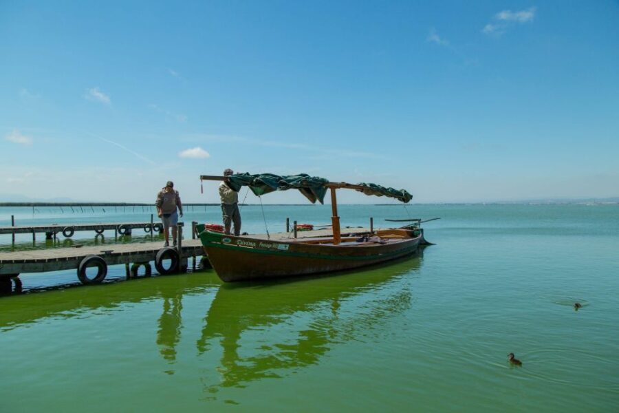 Valencia: Xativa Castle and Albufera Lagoon Private Tour - An In-Depth Look at the Tour Experience