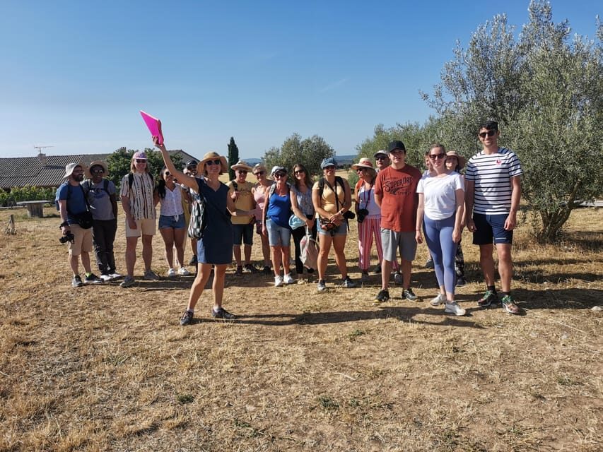Valensole : Visit of a winery and lavender farm - Practical Details: What to Expect