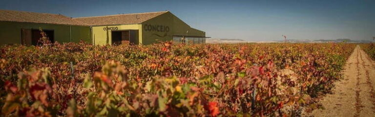 Valladolid: Concejo Bodegas - The Sum Up